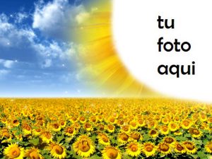Marco Para Foto Flores De Sol Brillante Primavera Marcos | Foto Marcos